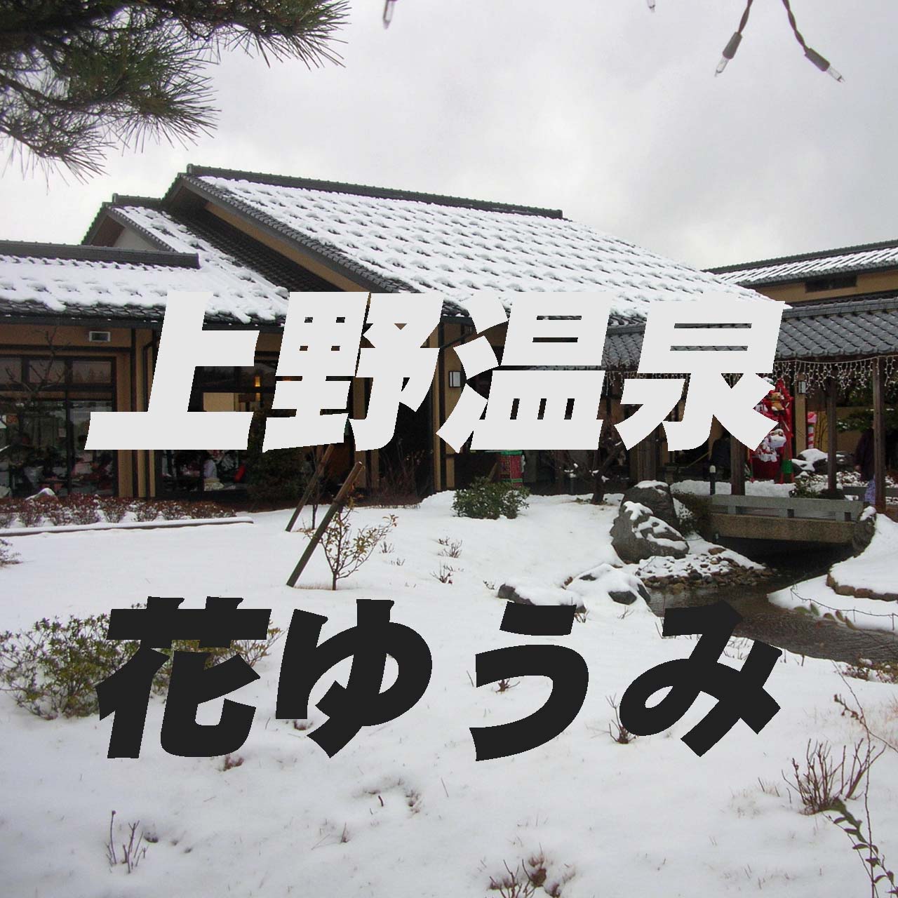 京都府京丹後市の日帰り温泉「上野温泉 花ゆうみ」 – シン・温泉に行こう
